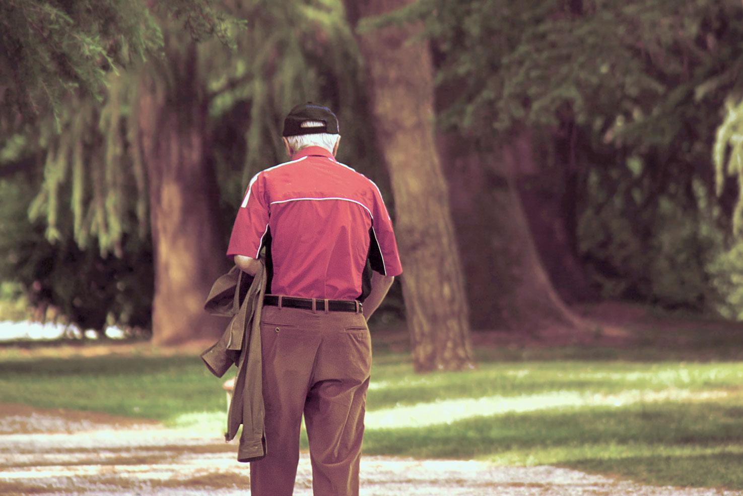 Wandering Elderly
